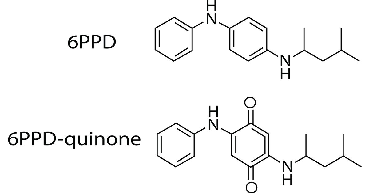 Kinetics and chemical mechanism of ozone and oxygen attack on Natsyn with and without 6ppd ...